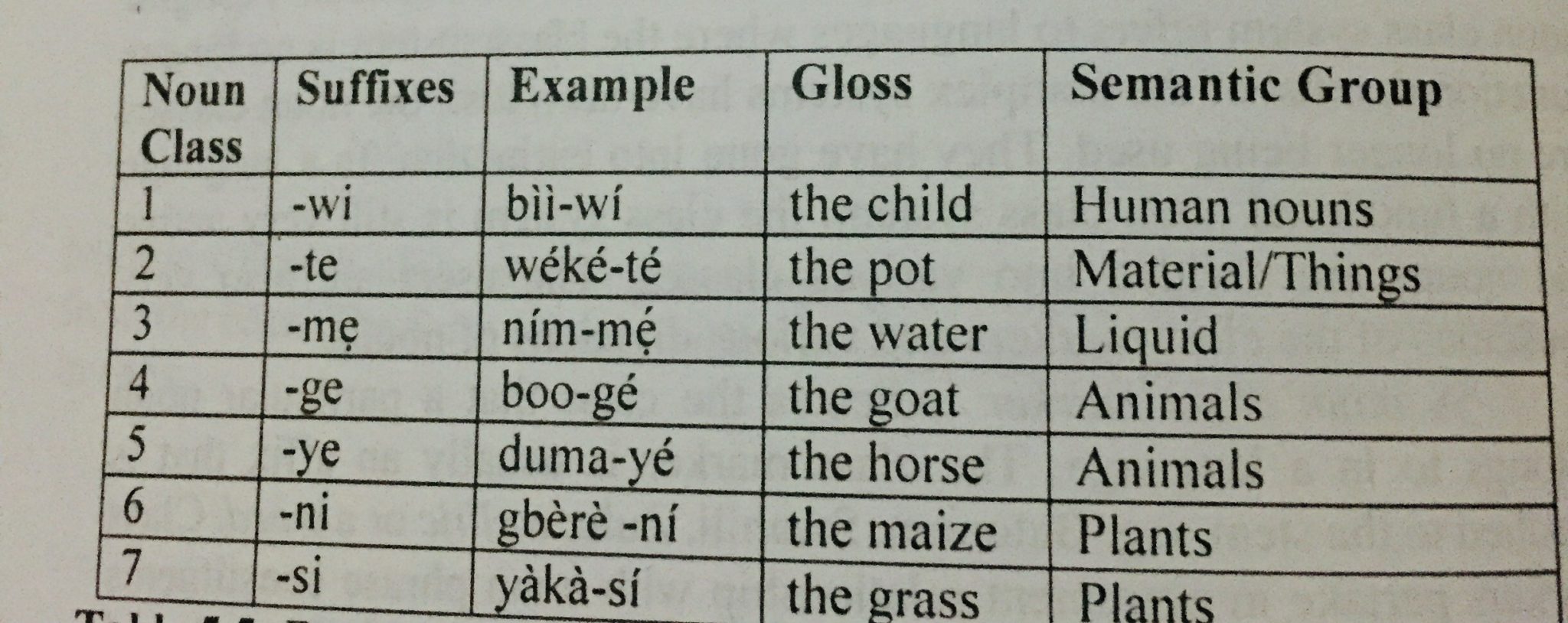 Noun Class System Bolanle Arokoyo PhD Noun Class System Bolanle Arokoyo PhD